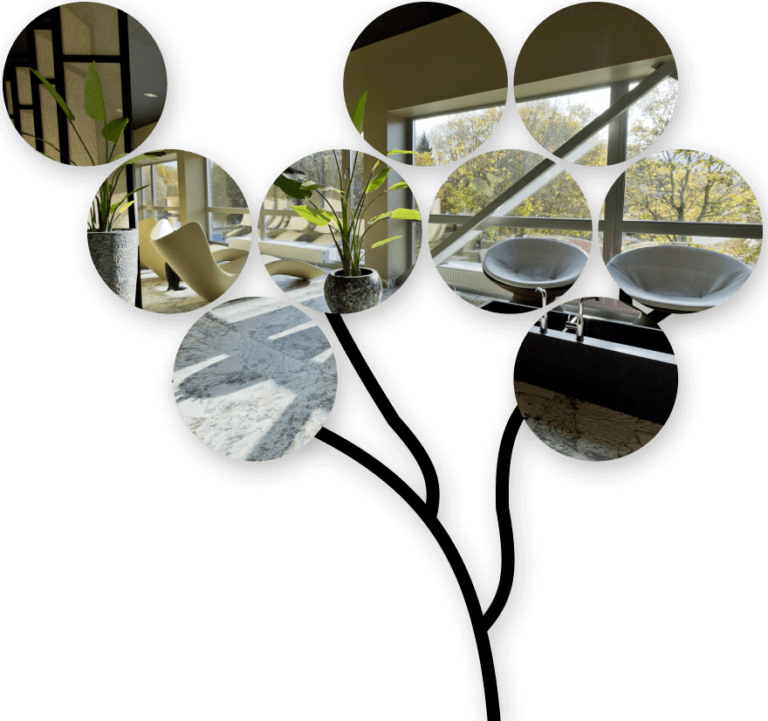 Spa and saunas - Ring Spaa ja Saunad